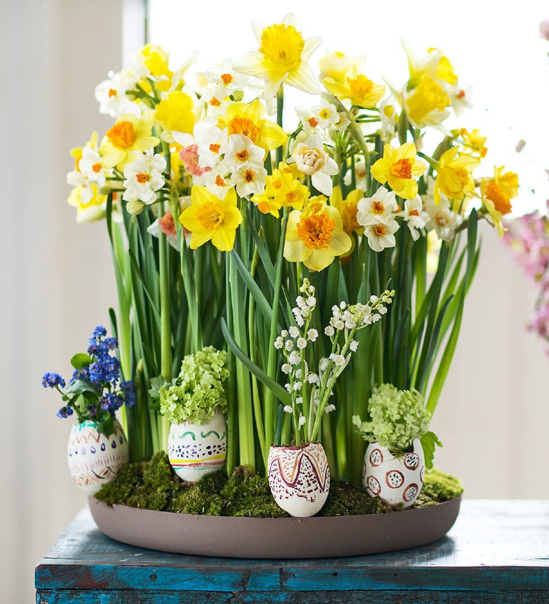 Noviflora | A floral Easter | 03 | 2023 | Detail | Journal