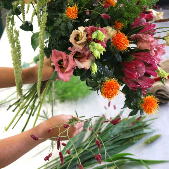 Noviflora | Our customers | Page